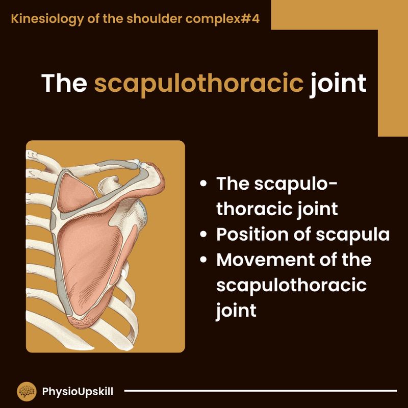 [Physioupskill] ## Episode70: Kinesiology of Shoulder complex#4 The ...