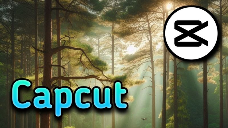 [Shoper Gamer] Capcut โดย