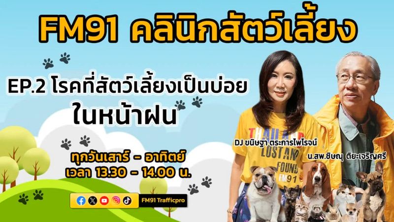 [FM91 Trafficpro] โรคที่สัตว์เลี้ยงเป็นบ่อยในหน้าฝน EP.2 : FM91 คลินิกสัตว์เลี้ยง สัมภาษณ์ นาย ...
