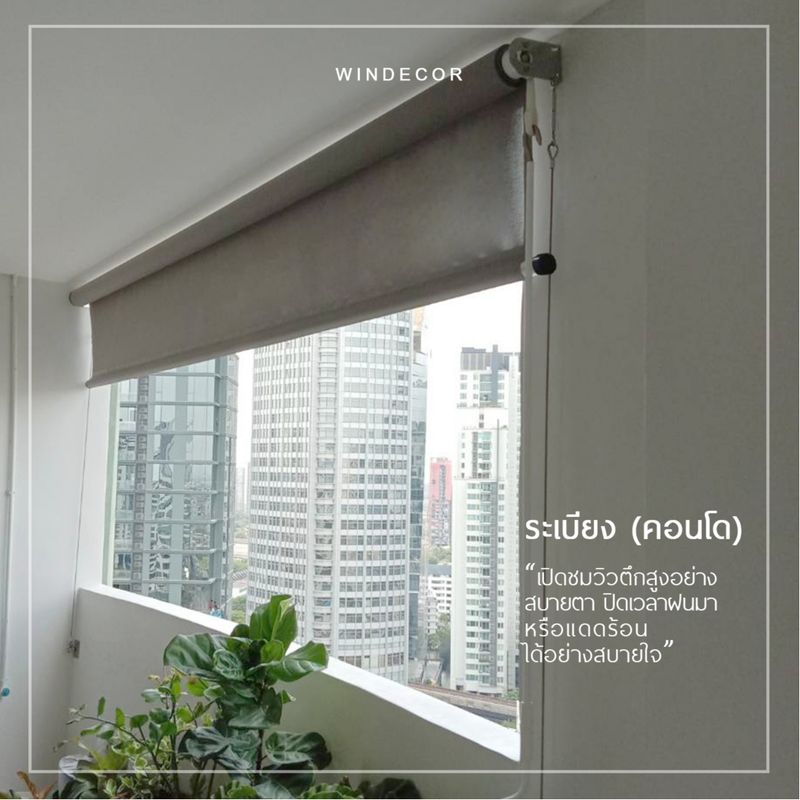 [เซลล์พิชญ์ x Windecor] ไวรัลบนโซเชียล! TARO ม่านสลิงไฮเทคสุดเจ๋ง กำลังปลุกกระแสแรงอยู่ในตอนนี้ ...