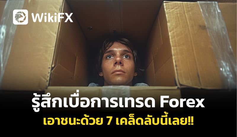 [WikiFX.TH] รู้สึกเบื่อการเทรด Forex เอาชนะด้วย 7 เคล็ดลับนี้เลย!! https://www.wikifx.com/th ...