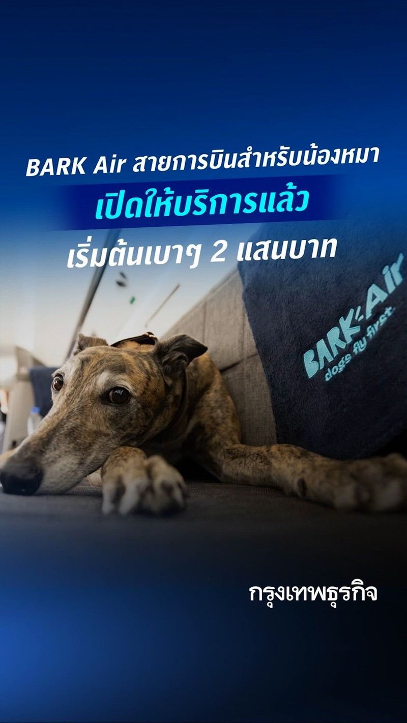 [กรุงเทพธุรกิจ] BARK Air สายการบินสำหรับน้องหมา เปิดให้บริการแล้ว ...