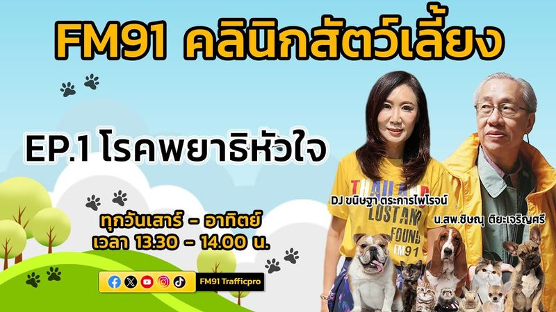 [FM91 Trafficpro] โรคพยาธิหัวใจ EP.1 : FM91 คลินิกสัตว์เลี้ยง สัมภาษณ์ นายสัตวแพทย์ชิษณุ ติยะ ...