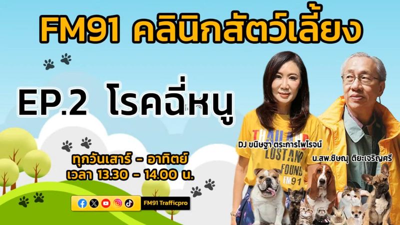 [FM91 Trafficpro] โรคฉี่หนู EP.2 : FM91 คลินิกสัตว์เลี้ยง สัมภาษณ์ นายสัตวแพทย์ชิษณุ ติยะเจริญ ...