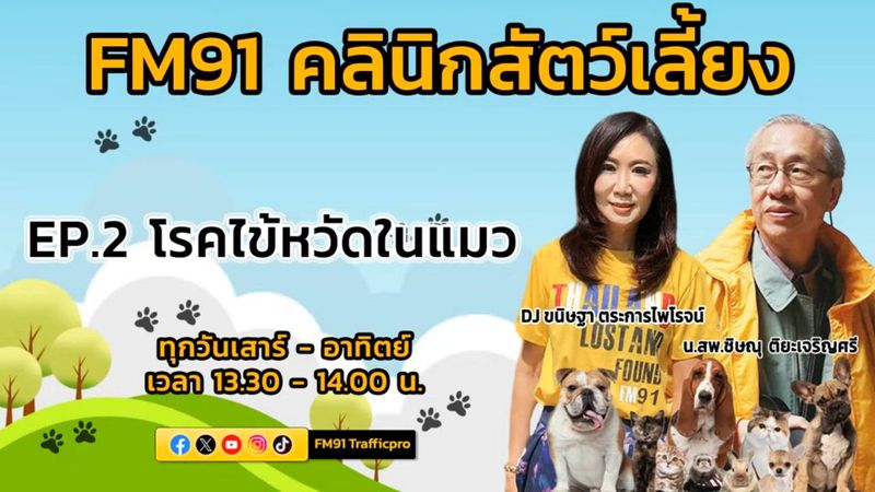 [FM91 Trafficpro] โรคไข้หวัดในแมว EP.2 : FM91 คลินิกสัตว์เลี้ยง สัมภาษณ์ นายสัตวแพทย์ชิษณุ ติยะ ...