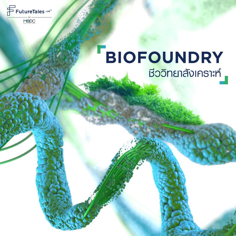 [FutureTales LAB by MQDC] Biofoundry ชีววิทยาสังเคราะห์ ...