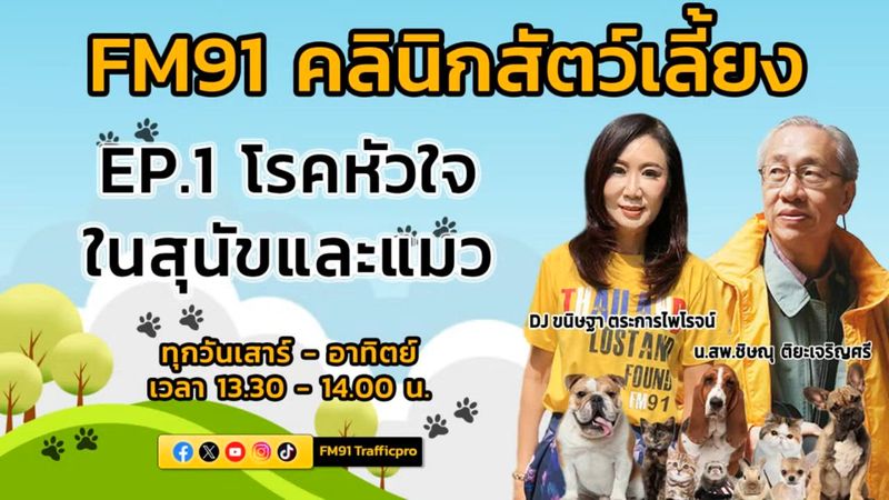 [FM91 Trafficpro] โรคหัวใจในสุนัขและแมว EP.1 : FM91 คลินิกสัตว์เลี้ยง สัมภาษณ์ นายสัตวแพทย์ชิษณุ ...
