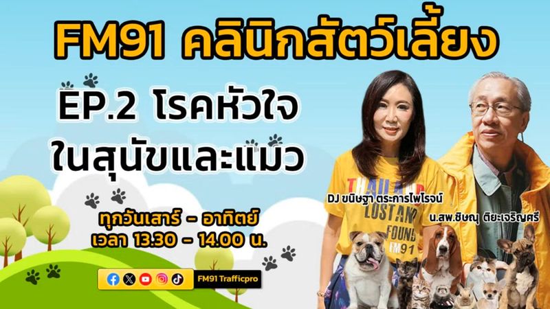 [FM91 Trafficpro] โรคหัวใจในสุนัขและแมว EP.2 : FM91 คลินิกสัตว์เลี้ยง สัมภาษณ์ นายสัตวแพทย์ชิษณุ ...