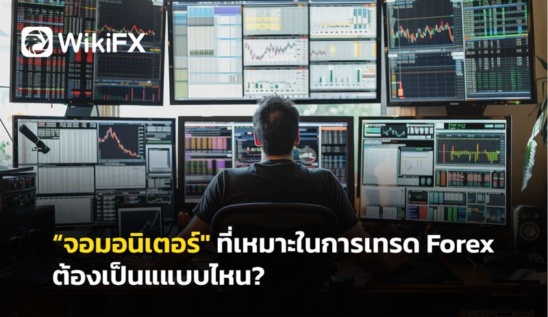 [WikiFX.TH] "จอมอนิเตอร์" ที่เหมาะในการเทรด Forex ต้องเป็นแบบไหน? https://www.wikifx.com/th ...