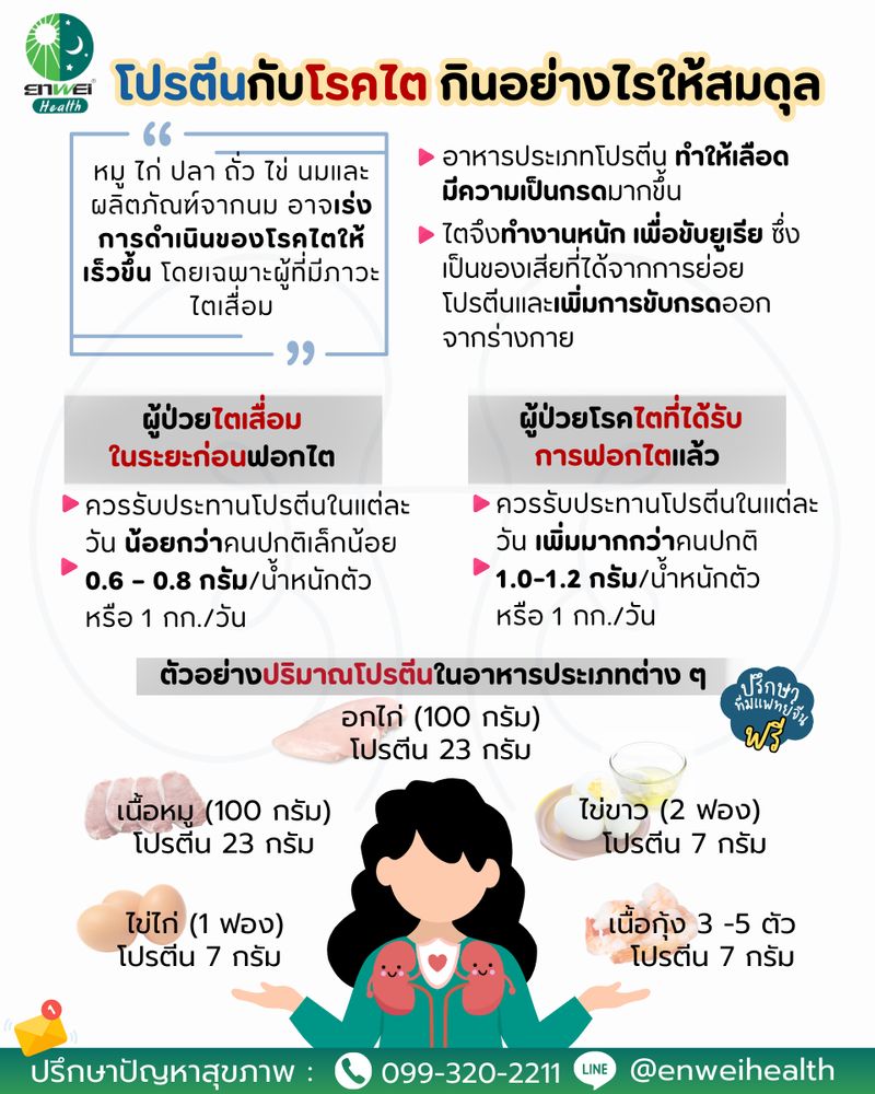 [ENWEI HEALTH] โปรตีนกับโรคไต กินอย่างไรให้สมดุล การรับประทานอาหารจำพวก ...