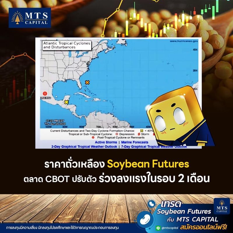 [MTS GOLD GROUP] ราคาถั่วเหลือง หรือ "Soybean Futures" ตลาด CBOT ปรับตัวร่วงลงแรงในรอบ 2 เดือน ...