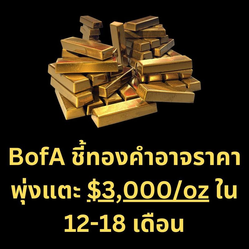 [Evolve Us] [ BofA ชี้ทองคำอาจราคาพุ่งแตะ $3,000/oz ใน 12-18 เดือน ] นักวิเคราะห์ของ Bank of ...