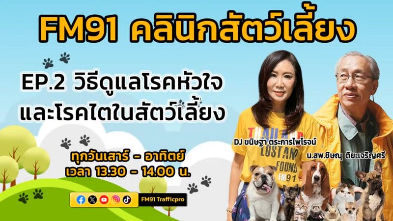 [FM91 Trafficpro] วิธีดูแลโรคหัวใจและโรคไตในสัตว์เลี้ยง EP.2 : FM91 คลินิกสัตว์เลี้ยง สัมภาษณ์ ...