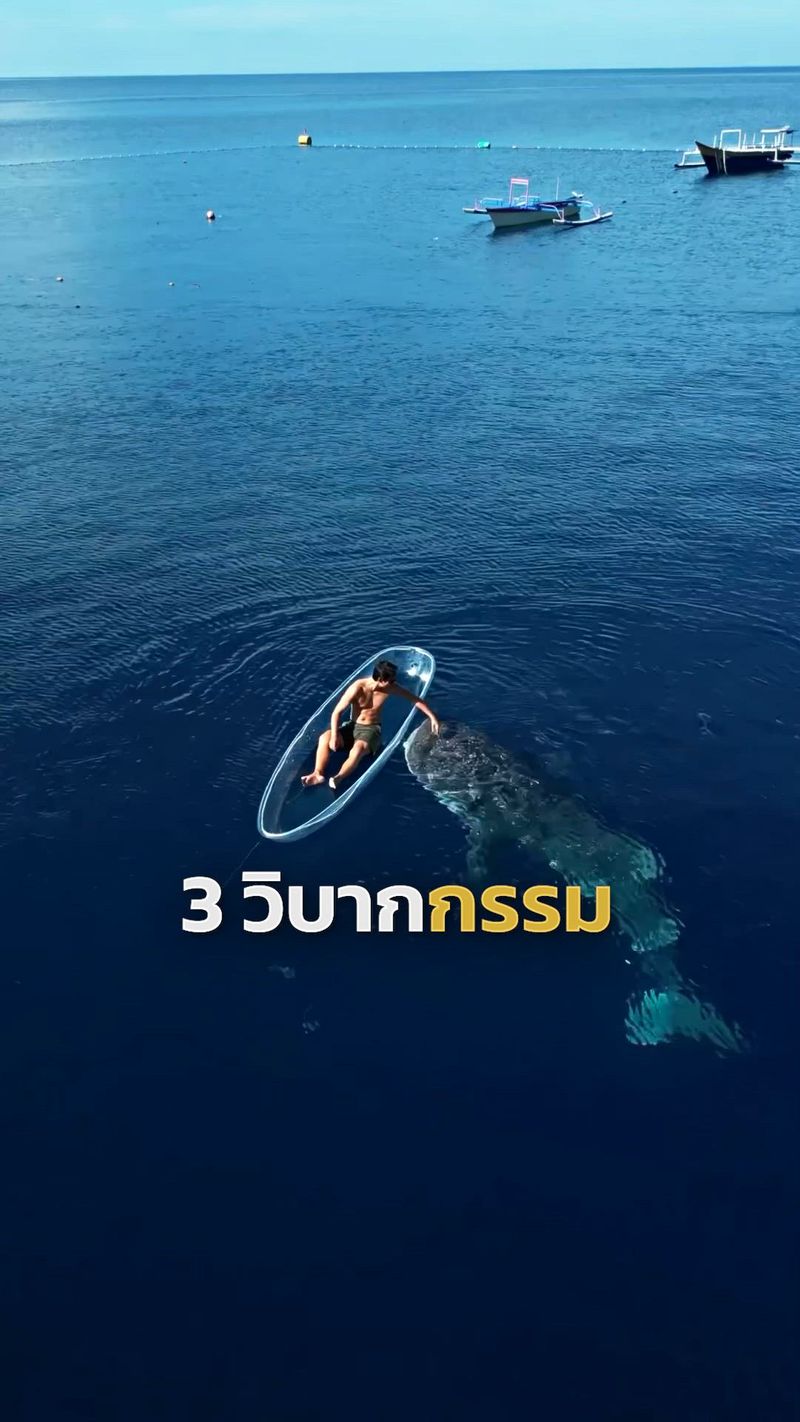 [SCB Thailand] 3 วิบากกรรมที่ทำให้คน 97% ไม่รวยสักที #ความรู้การเงิน #financialliteracy #เก็บ ...