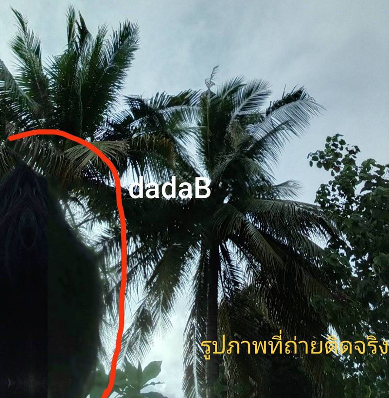 [เล่าให้ฟังหน่อย dadaB] ep.3 เห็นผีครั้งแรกตอนอายุ 19 ปี เรากลับเข้า ...