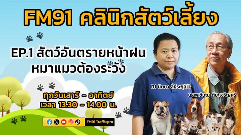 [FM91 Trafficpro] สัตว์อันตรายหน้าฝน หมาแมวต้องระวัง EP.1 : FM91 คลินิกสัตว์เลี้ยง สัมภาษณ์ นาย ...