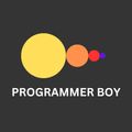 Programmer Boy