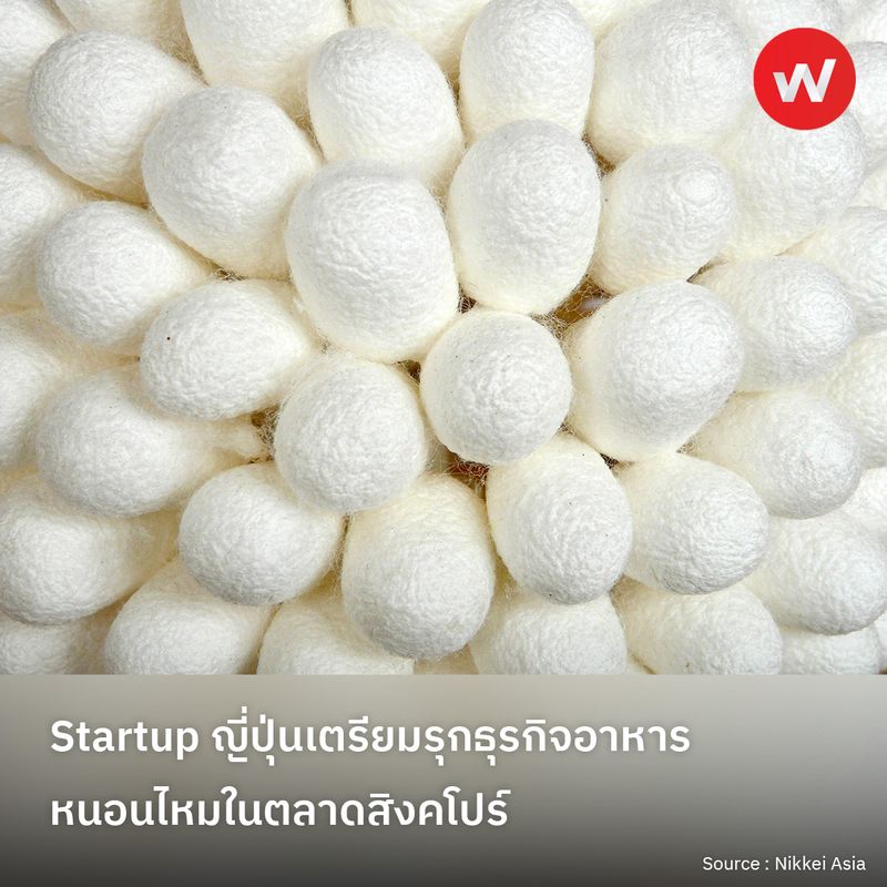 [WABIZ รู้รอบทิศ ธุรกิจญี่ปุ่น] Startup ญี่ปุ่นเตรียมรุกธุรกิจอาหารหนอนไหมในตลาดสิงคโปร์ ...