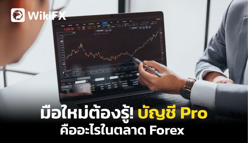 [WikiFX.TH] มือใหม่ต้องรู้! บัญชี Pro คืออะไรในตลาด Forex https://www.wikifx.com/th/newsdetail ...