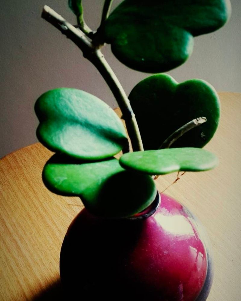 [M. Tara] ที่สุดค่ะ