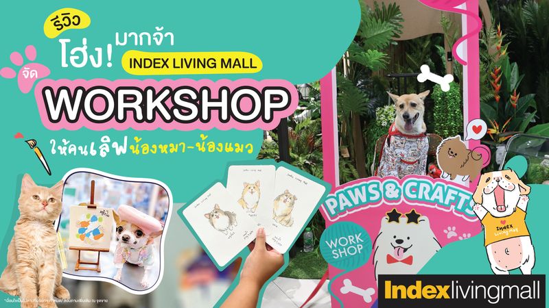 [Index Living Mall Plc (ILM)] 😍 โฮ่งมาก~ รีวิวงาน Workshop Paws and ...