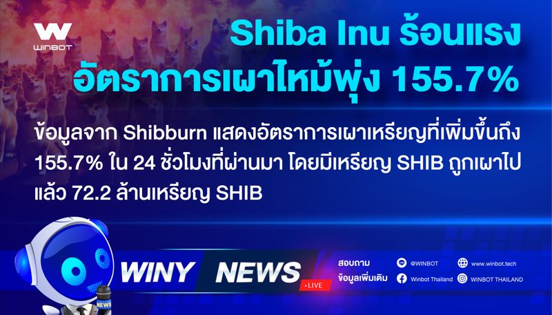 [WINBOT] Shiba Inu ร้อนแรง🔥 อัตราการเผาไหม้พุ่ง 155.7% 🔍ที่มา : https://siamblockchain.com/2024 ...