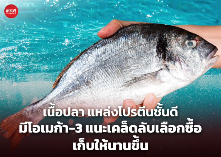 [Techin Payab] เนื้อปลา แหล่งโปรตีนชั้นดี มีโอเมก้า-3 แนะเคล็ดลับเลือก ...