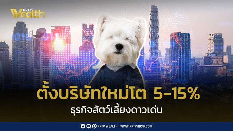 [PPTV Wealth] พาณิชย์คาดตั้งบริษัทใหม่ปี 67 โต 5-15% ธุรกิจสัตว์เลี้ยงมาแรง กรมพัฒนาธุรกิจการค้า ...