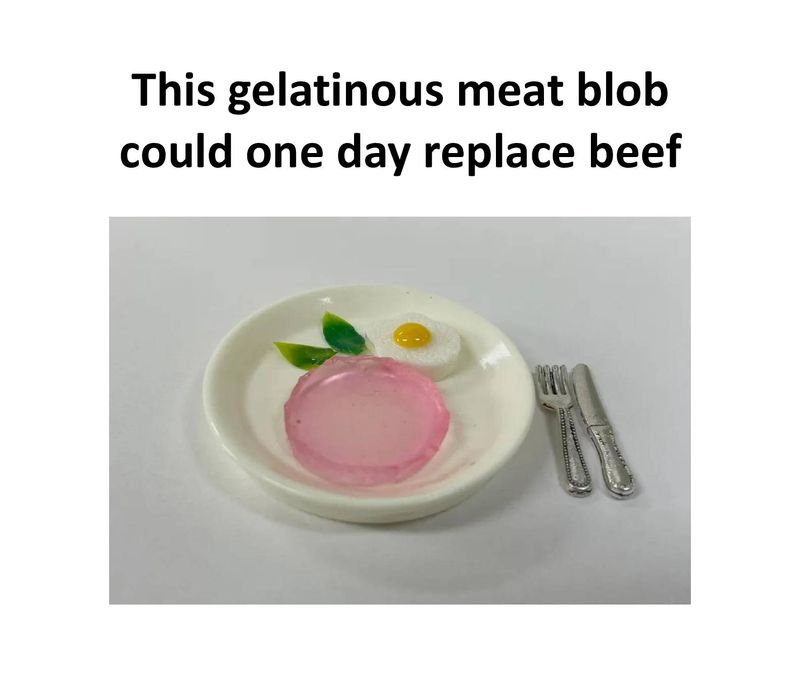 [Wichai Purisa ] This gelatinous meat blob could one day replace beef ...