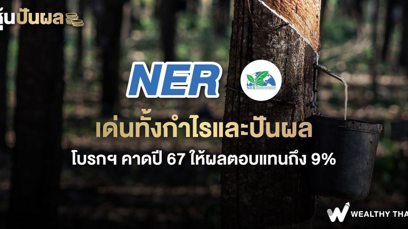 [Wealthy Thai] NER เด่นทั้งกำไรและปันผล โบรกฯ คาดปี 67 ให้ผลตอบแทนถึง 9% NER หรือ บริษัท นอร์ท ...