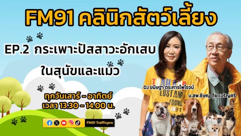 [FM91 Trafficpro] กระเพาะปัสสาวะอักเสบในสุนัขและแมว EP.2 : FM91 คลินิกสัตว์เลี้ยง สัมภาษณ์ นาย ...