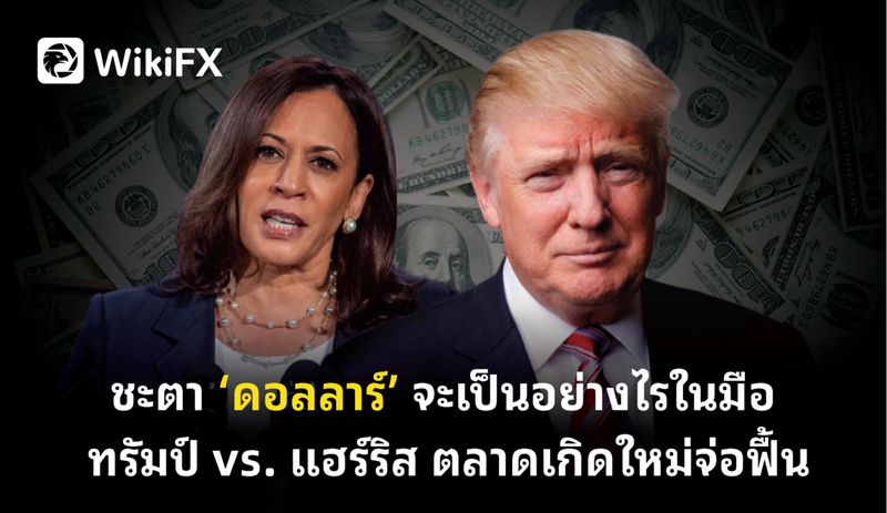 [WikiFX.TH] ชะตา""ดอลลาร์"" จะเป็นอย่างไรในมือ ""ทรัมป์ vs. แฮร์ริส"" ตลาดเกิดใหม่จ่อฟื้น https ...
