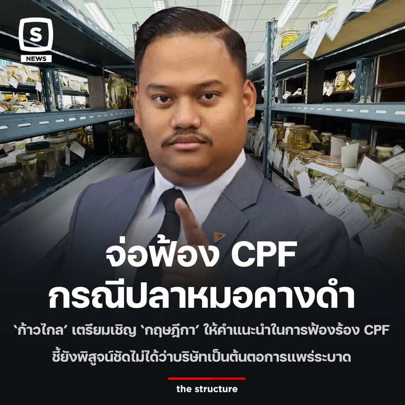 [The Structure] จ่อฟ้อง CPF กรณีปลาหมอคางดำ ‘ก้าวไกล’ เตรียมเชิญ ‘กฤษฎีกา’ ให้คำแนะนำในการฟ้อง ...