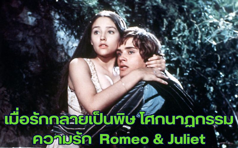 [ตุ๊กตาผีในโลกแฟนตาซี] เมื่อรักกลายเป็นพิษ:โศกนาฏกรรมความรักลับของ ...