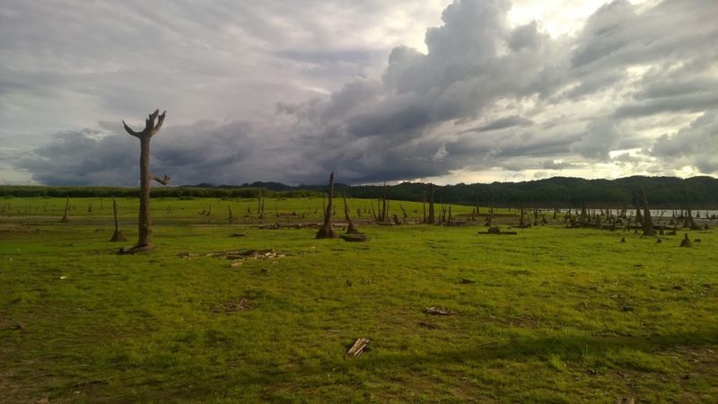 [kamol] เคล็ดลับที่มืออาชีพทำ เขาทำกันงัย กับ คำว่าจับเสือมือเปล่า ...