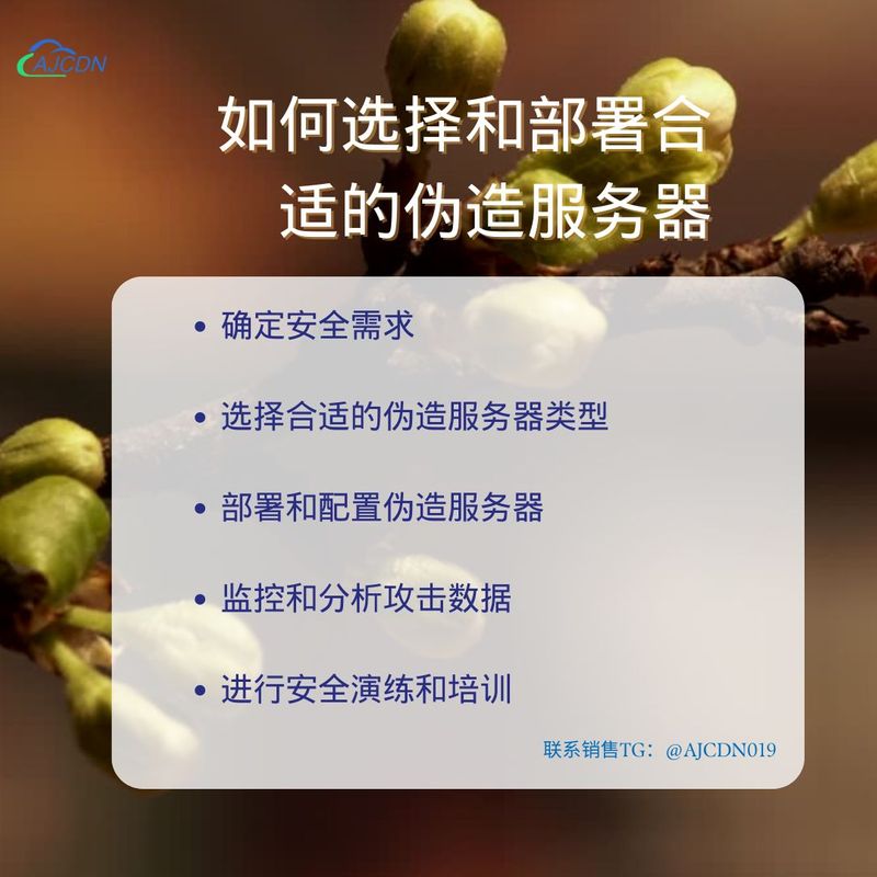 [AJCDN.COM019] contact TG : @ajcdn019 website : www.ajcdn.com more details : https://doc.ajcdn.com/