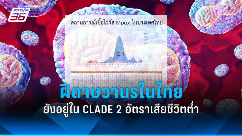[PPTVHD36] กรมวิทย์ ยันฝีดาษวานรในไทยยังอยู่ในกลุ่ม Clade 2 อัตราการ ...