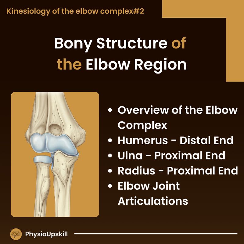 [Physioupskill] ## Episode 79: Kinesiology of the Elbow Complex #2 Bony ...