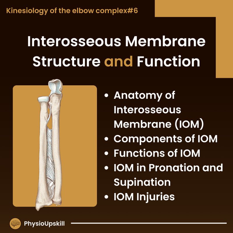 [Physioupskill] ## Episode 83: Kinesiology of the Elbow Complex #6 - Interosseous Membrane ...