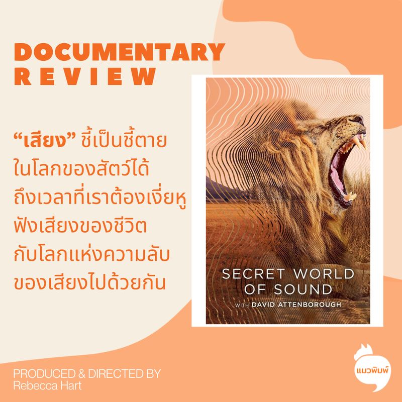 [แมวพิมพ์] รีวิวสารคดี 📢 Secret World of Sound with David Attenborough ...