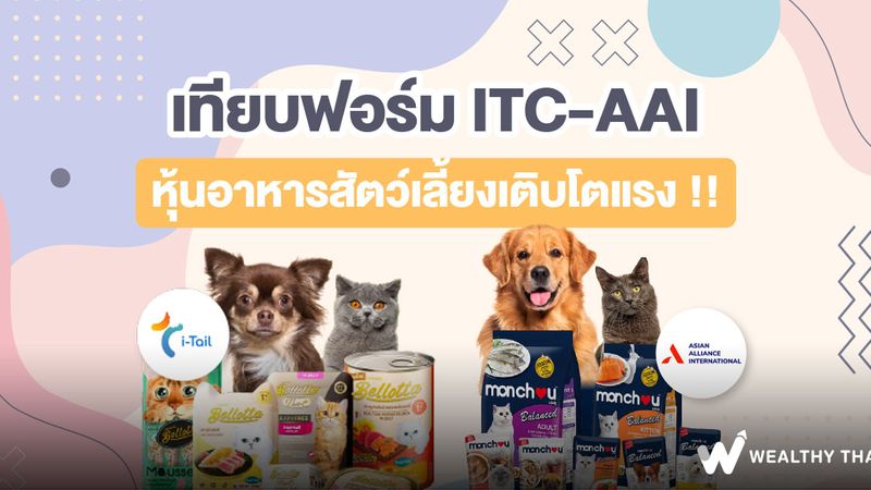 [Wealthy Thai] เทียบฟอร์ม ITC-AAI หุ้นอาหารสัตว์เลี้ยงเติบโตแรง ...