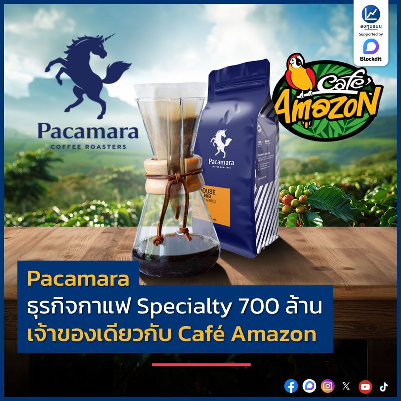 [ลงทุนแมน] Pacamara ธุรกิจกาแฟ Specialty 700 ล้าน เจ้าของเดียวกับ Café ...