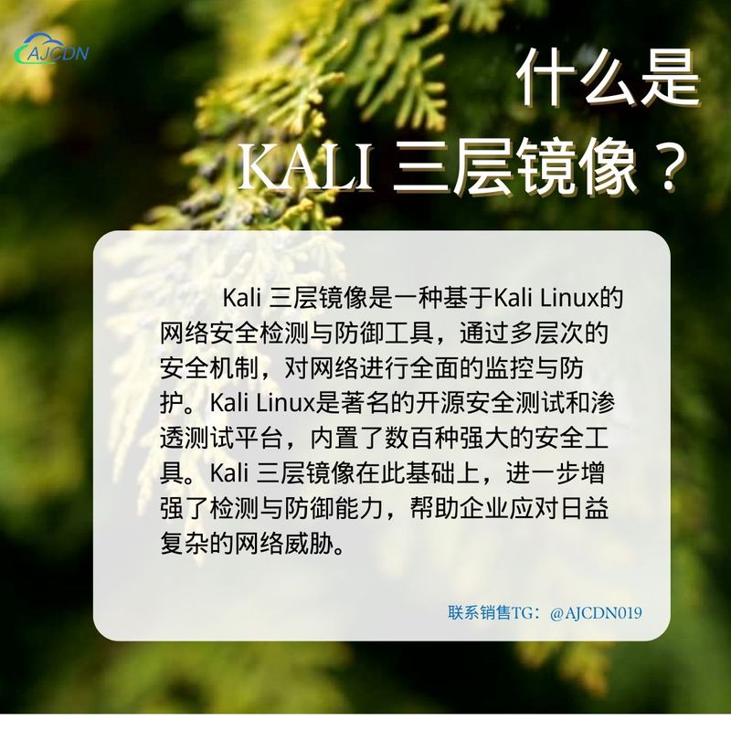 [AJCDN.COM019] contact TG :@ajcdn019 website : www.ajcdn.com more details : https://doc.ajcdn.com/