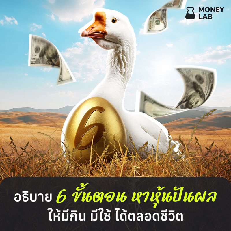 [MONEY LAB] อธิบาย 6 ขั้นตอน หาหุ้นปันผล ให้มีกิน มีใช้ ได้ตลอดชีวิต ...