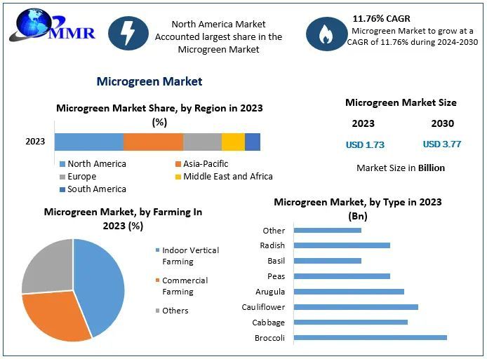 [kalpesh rajput] Microgreen Market Size: Set to Grow to USD 3.77 ...