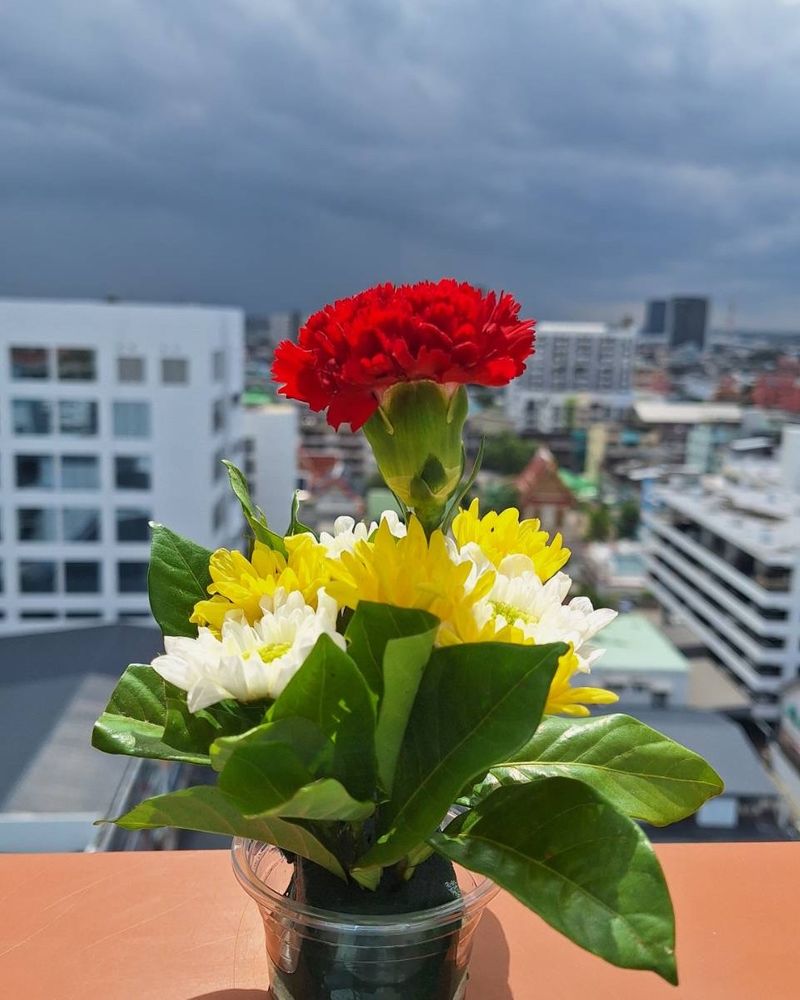 [Mee Jung ] ตถาคต เป็นเพียงผู้บอก 😇 การที่บุคคล จะบรรลุมรรคผลนิพพาน🪷 ...