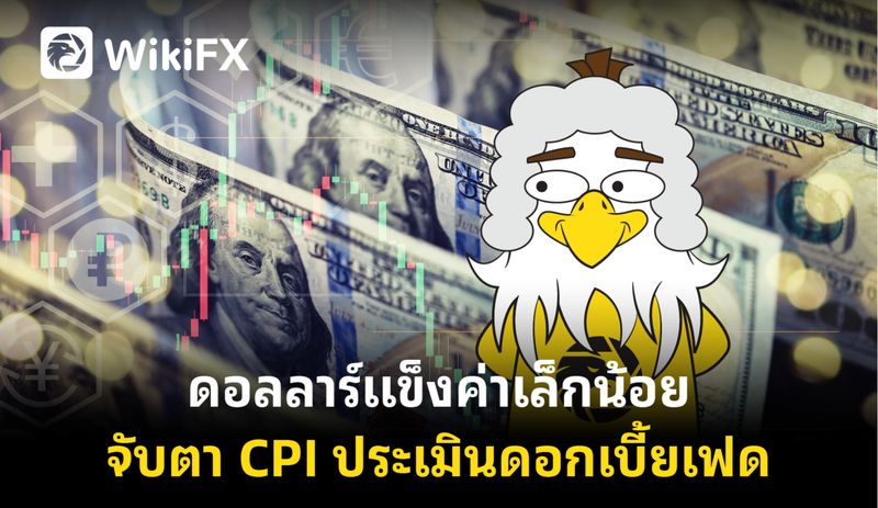 [WikiFX.TH] ดอลลาร์แข็งค่าเล็กน้อย จับตา CPI ประเมินดอกเบี้ยเฟด https://www.wikifx.com/th ...
