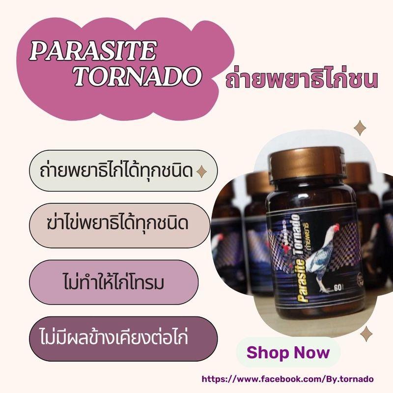 [ไก่ชนน่ารู้ By Tornado] พี่ๆที่เลี้ยงไก่อย่าลืมถ่ายพยาธิให้น้องไก่ก่อนที่จะเอาไก่ไปบำรุงเลี้ยง ...