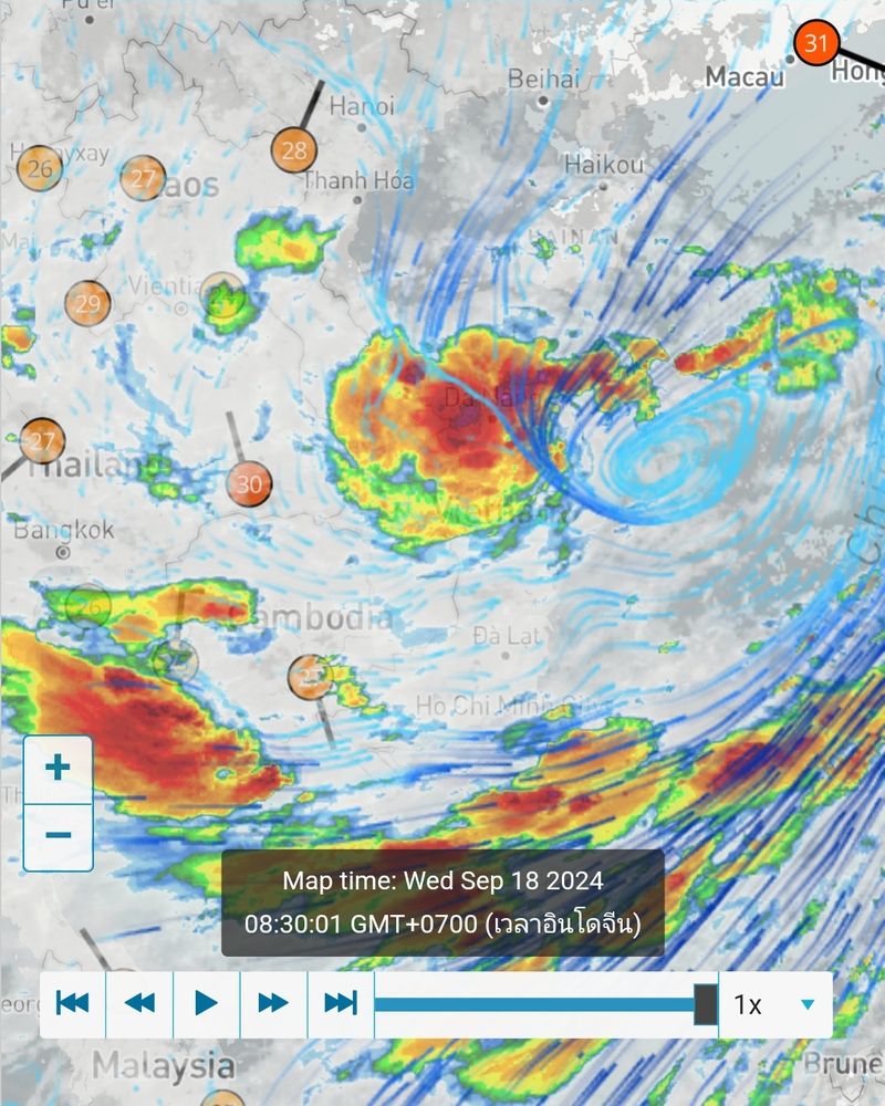 [เบื่อเมือง] ดีเปรสชัน 98W พาฝนมาตกหนักมากที่ดานังในตอนนี้