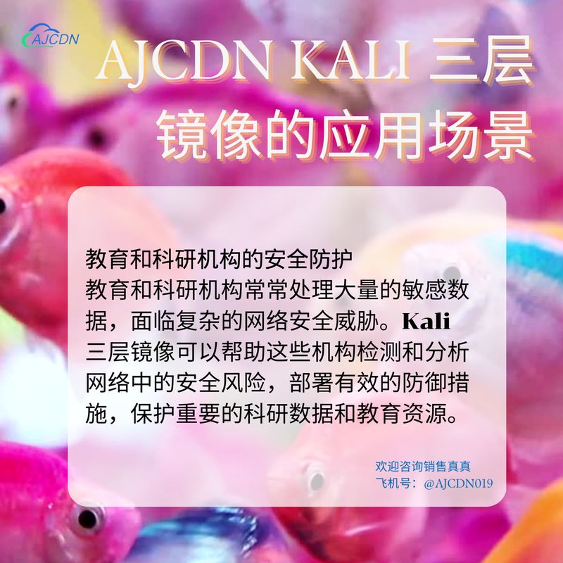 [AJCDN.COM019] contact TG :@ajcdn019 website : www.ajcdn.com more details : https://doc.ajcdn.com/